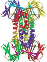 Metalloproteins : Web focus : Nature